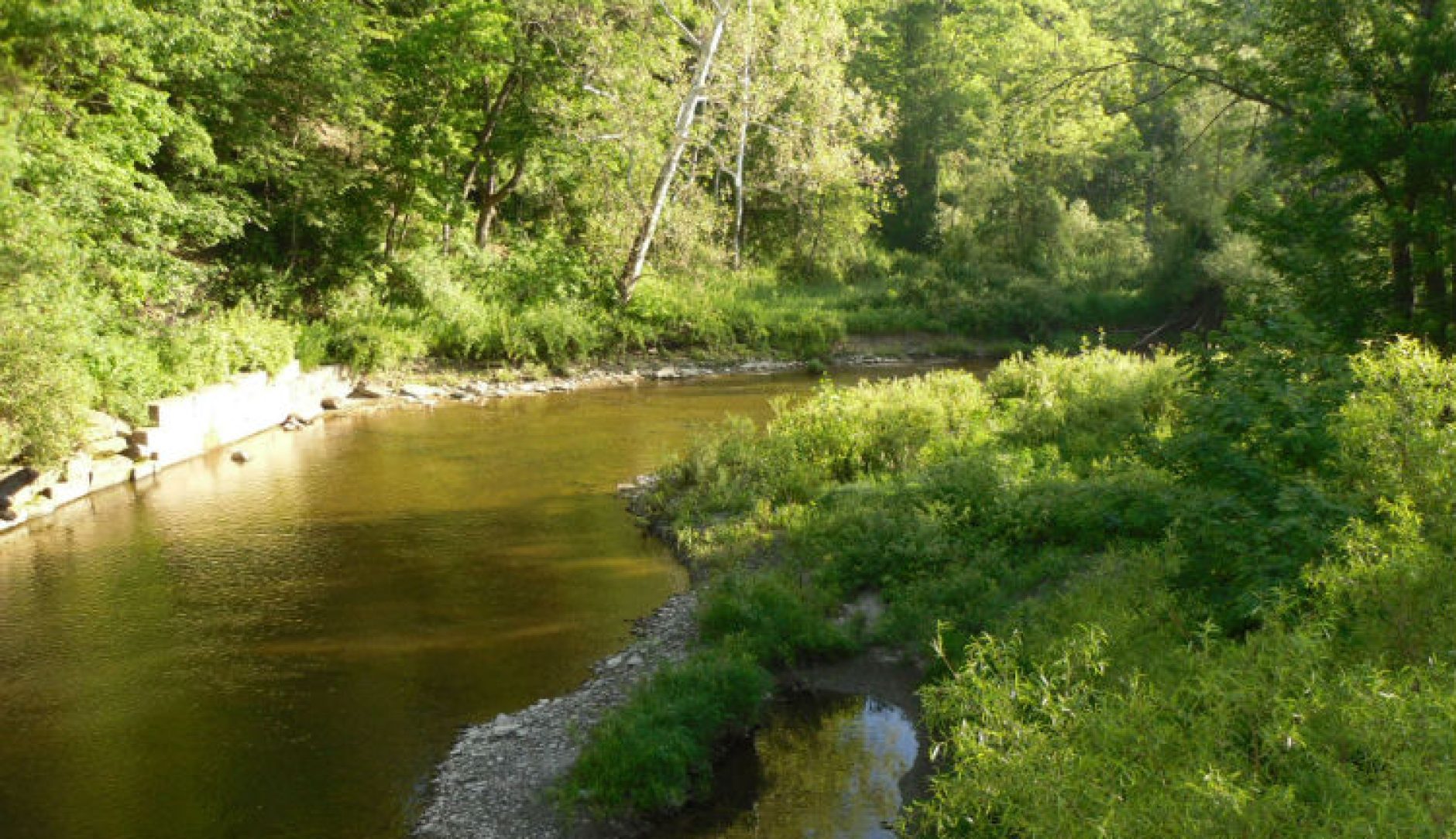 [Steelhead Alley] Conneaut Creek