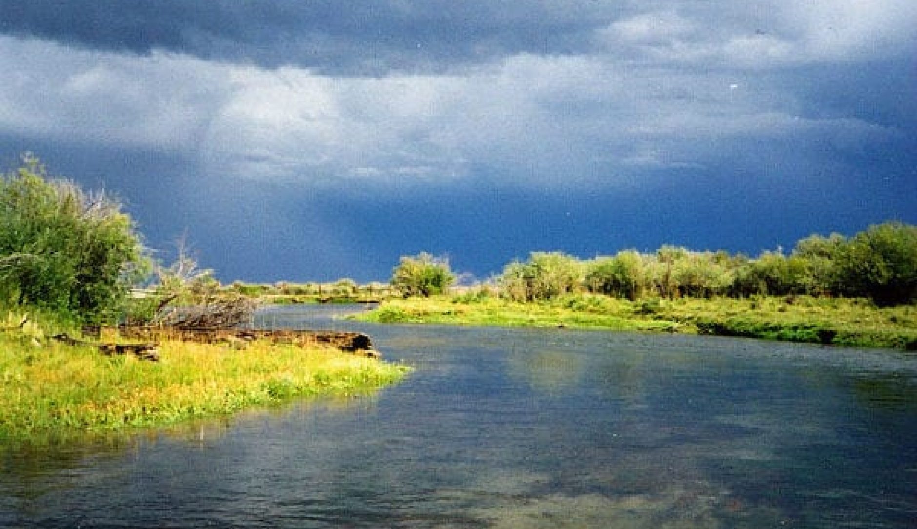 DIY Guide to Fly Fishing the Beaverhead River in Montana | DIY Fly Fishing