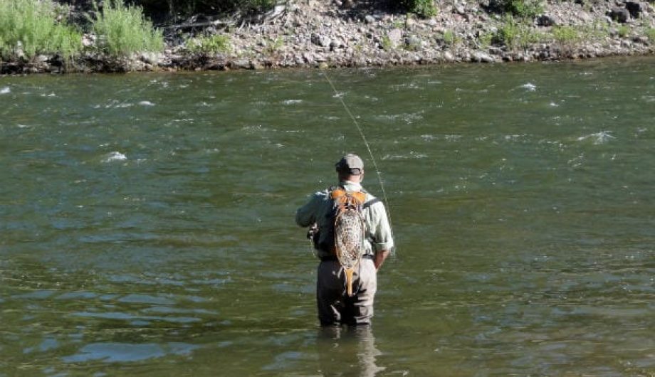 [DIY] Guide to Fly Fishing Rock Creek in Montana
