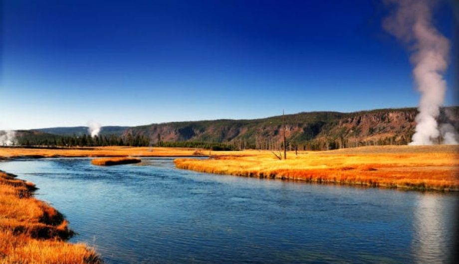DIY Guide to Fly Fishing Lamar River in Yellowstone National Park | DIY ...