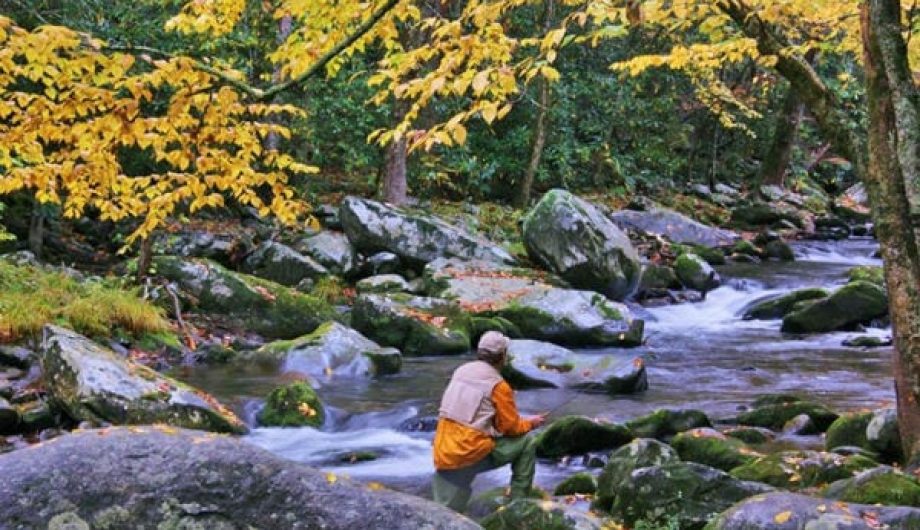 DIY Guide to Fly Fishing in Zion National Park | DIY Fly Fishing