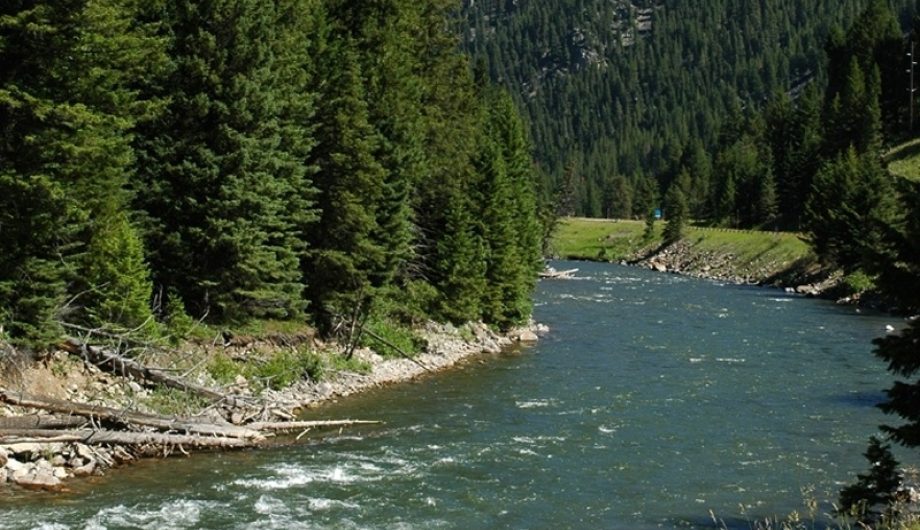 DIY Guide to Fly Fishing the Beaverhead River in Montana | DIY Fly Fishing