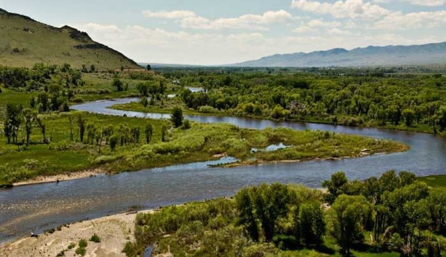 DIY Guide to Fly Fishing the Beaverhead River in Montana | DIY Fly Fishing