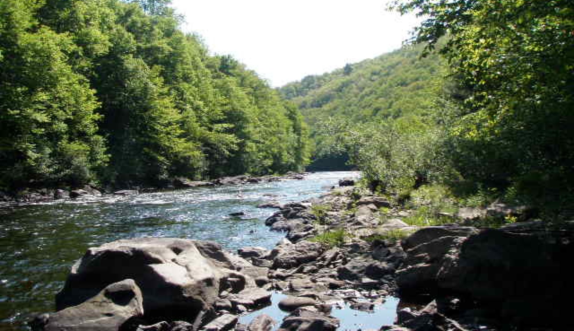DIY Guide to Fly Fishing the Lehigh River | DIY Fly Fishing