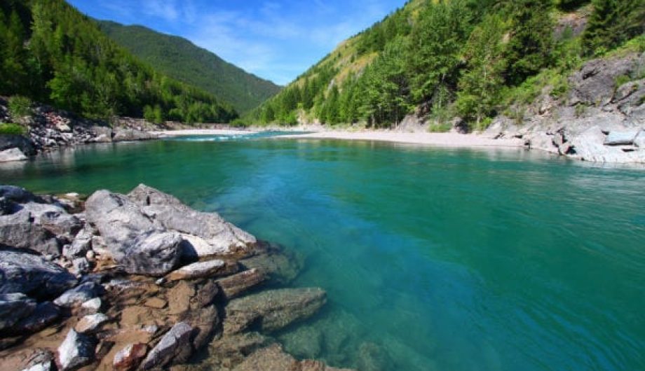 DIY Guide to Fly Fishing the Beaverhead River in Montana | DIY Fly Fishing