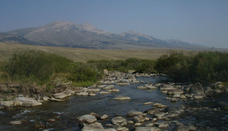 DIY Guide to Fly Fishing the Beaverhead River in Montana | DIY Fly Fishing