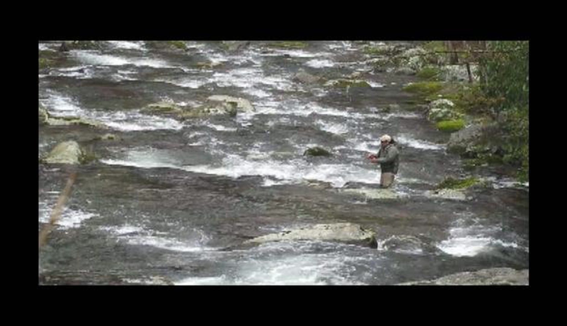 Fly Fishing with Strike Indicators: Smoky Mountain Style