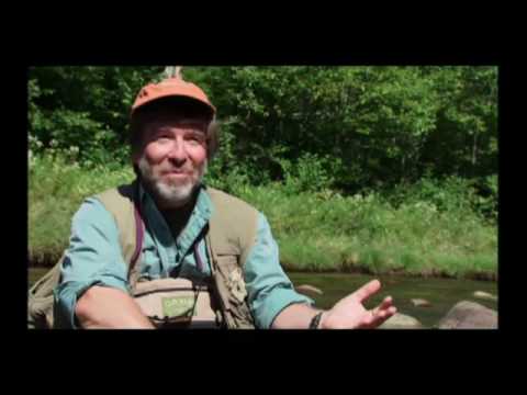 Reading Trout Streams