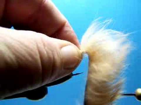 Steelhead [Salmon] Flesh Fly