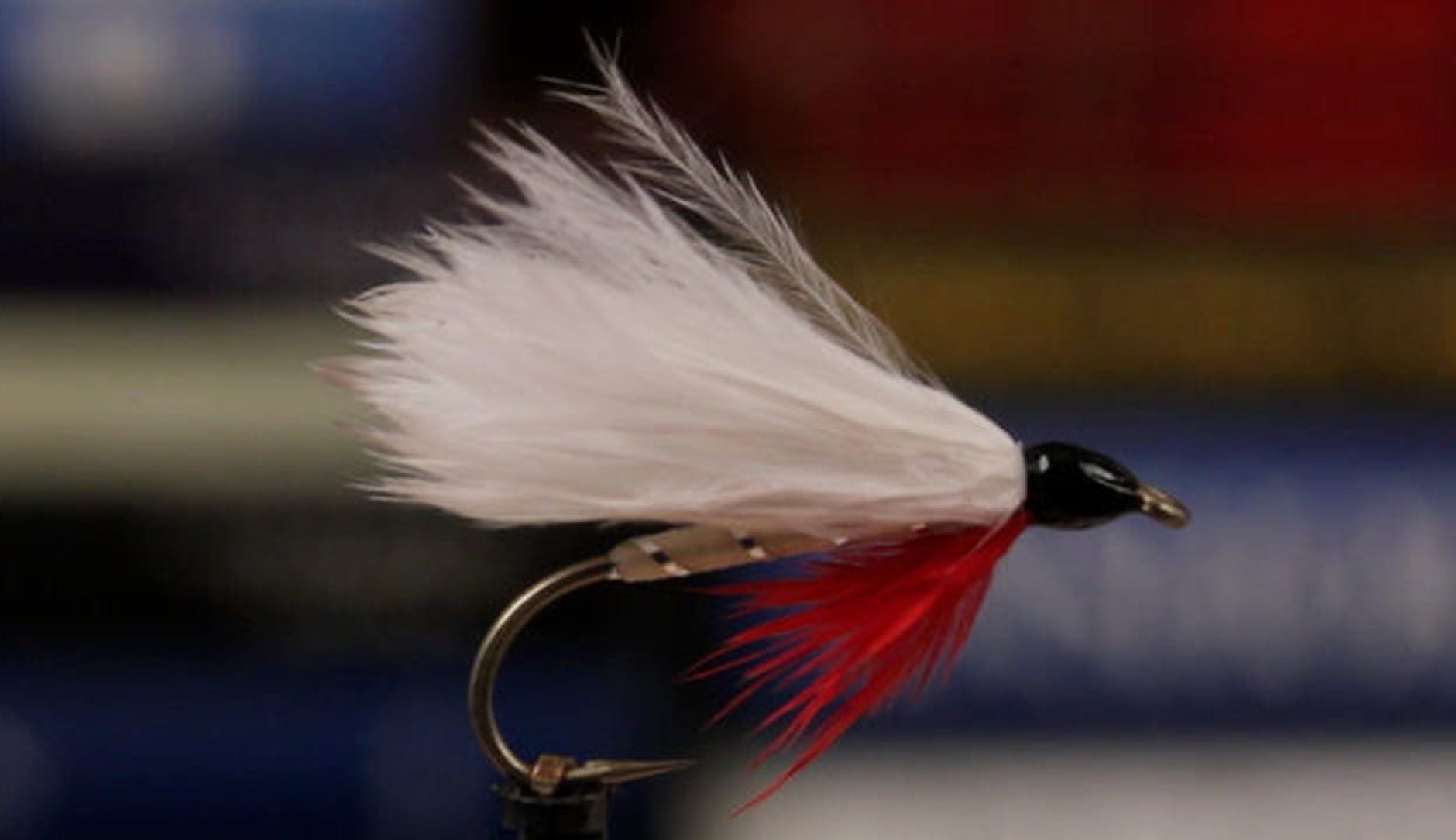 CB Stocker Streamer Pattern | Fly Fishing Reporter