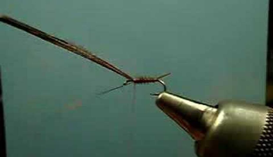 [Video] George Daniels Cat Nymph | DIY Fly Fishing