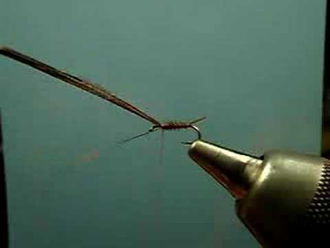 [Fly Tying Video] Charlie Craven's Pheasant Tail Nymph