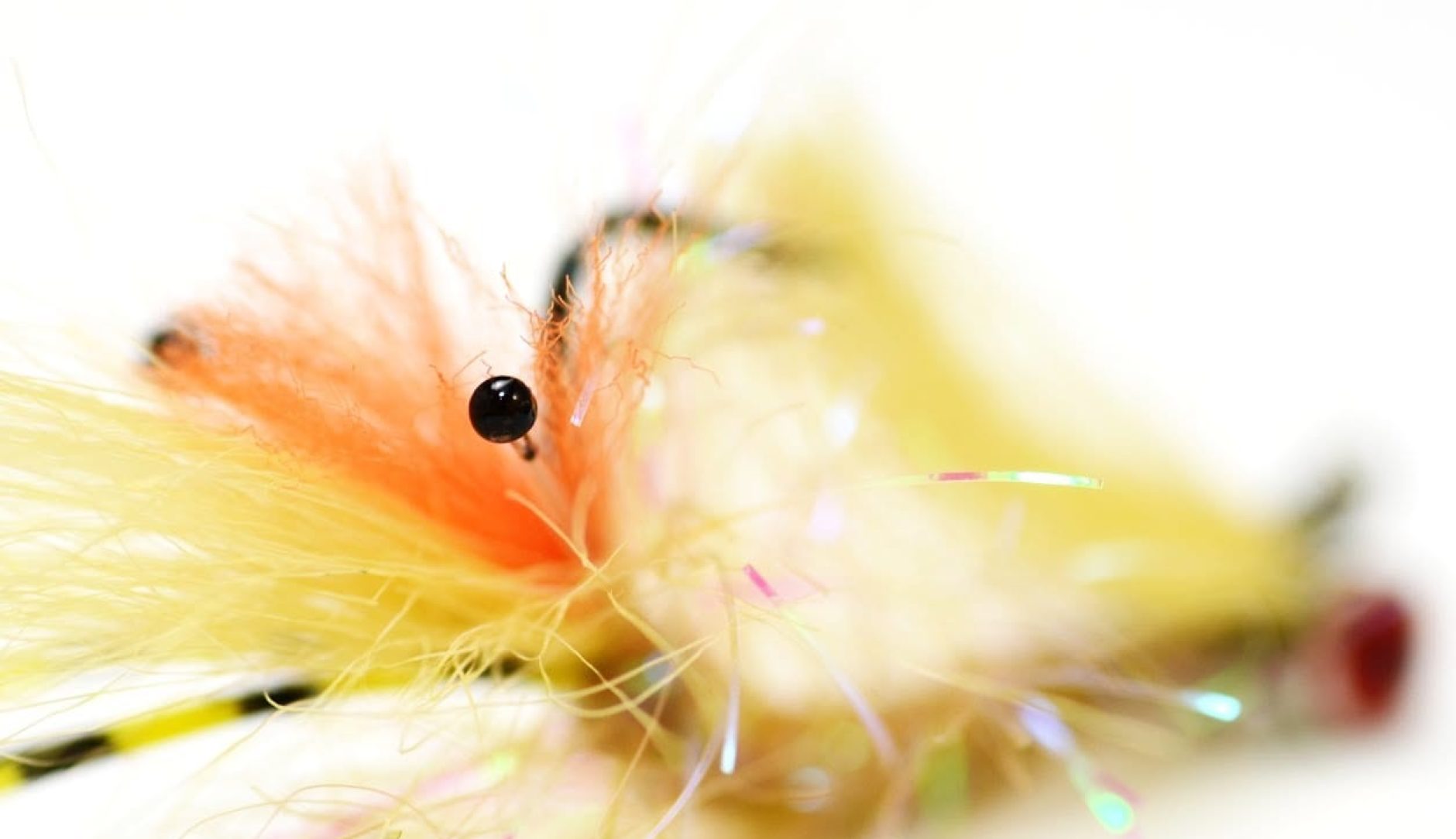 [Video] Fly Tying Secrets: How to Make Easy Shrimp, Crab or Bug Eyes ...