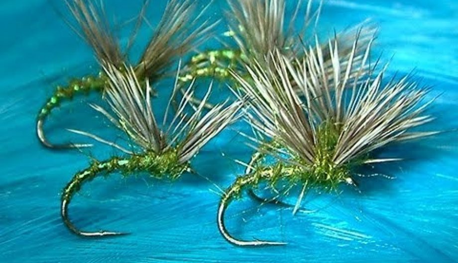 [Video] George Daniels Cat Nymph | DIY Fly Fishing