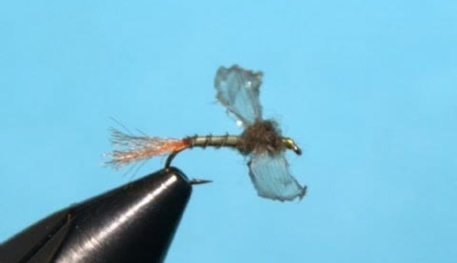 [Video] How to Tie a Frenchie by George Daniel • Fly Fishing Reporter