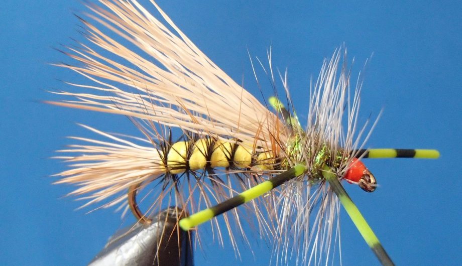 [Video] How to Tie the Yong Special Fly: A Top Secret Midge Pattern ...
