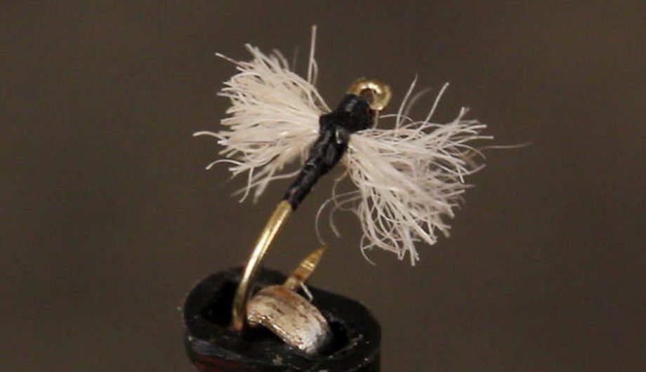 [Video] Improved Hares Ear Fly Tying Video