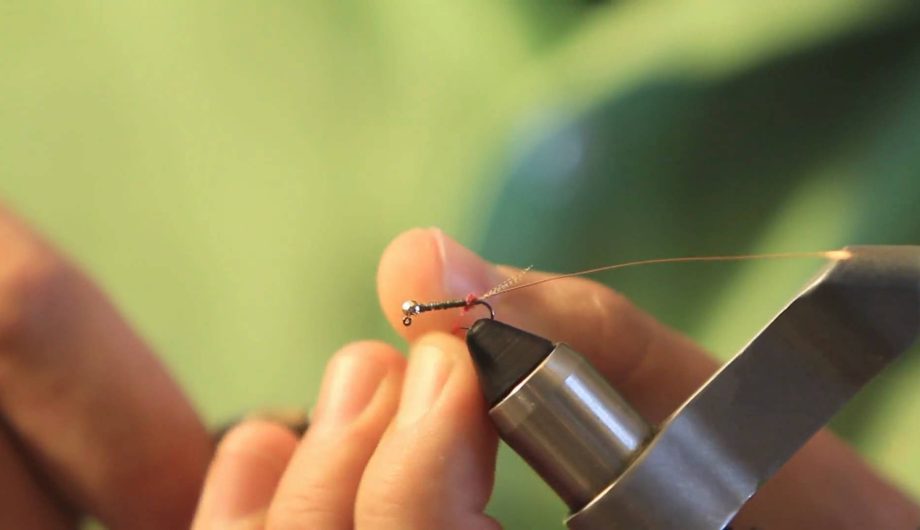 [Video] How to Tie a Simple Golden Stonefly Nymph | DIY Fly Fishing