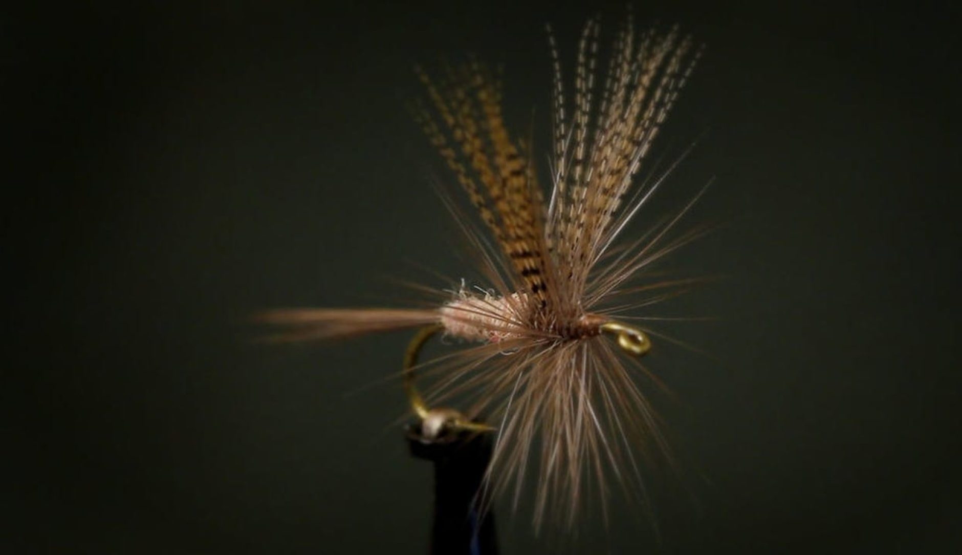 Tying Catskill Flies