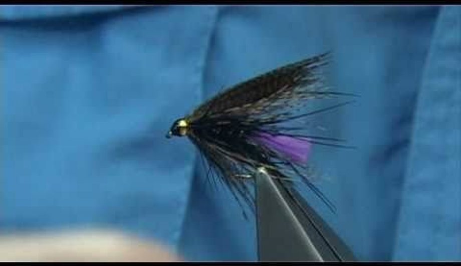 [Fly Tying Video] BWO Soft Hackle