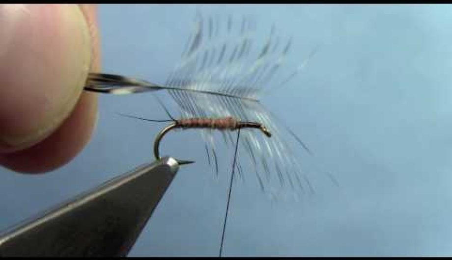 [Video] How to Tie a Trico Spinner • Fly Fishing Reporter