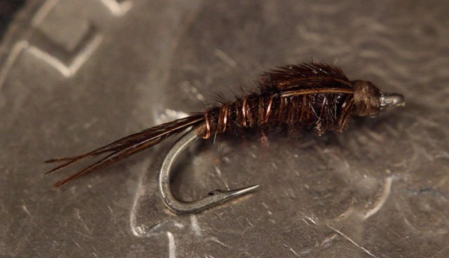 [Video] George Daniels Cat Nymph | DIY Fly Fishing