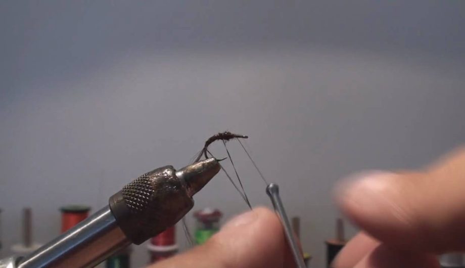 [Video] George Daniels Cat Nymph | DIY Fly Fishing