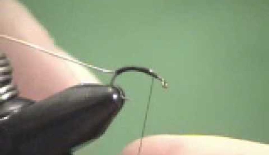 [Video] George Daniels Cat Nymph | DIY Fly Fishing