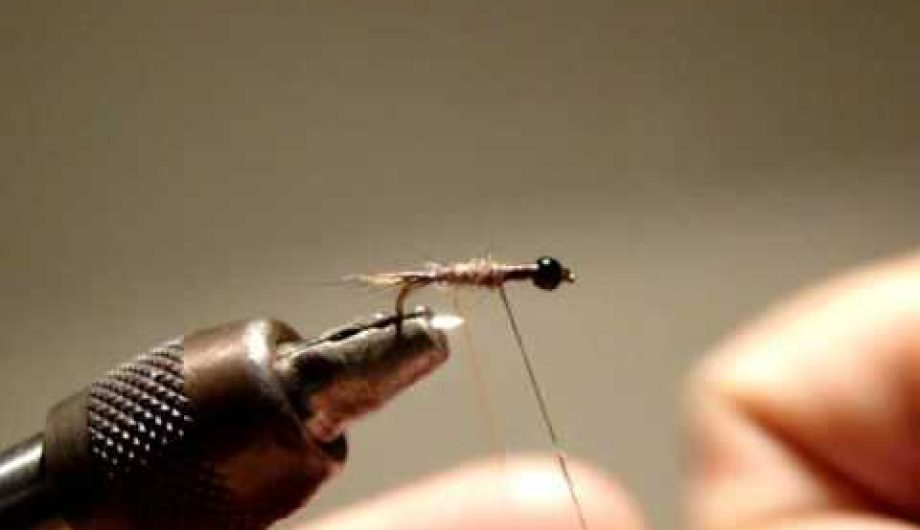 [Video] How to Tie a Trico Spinner • Fly Fishing Reporter