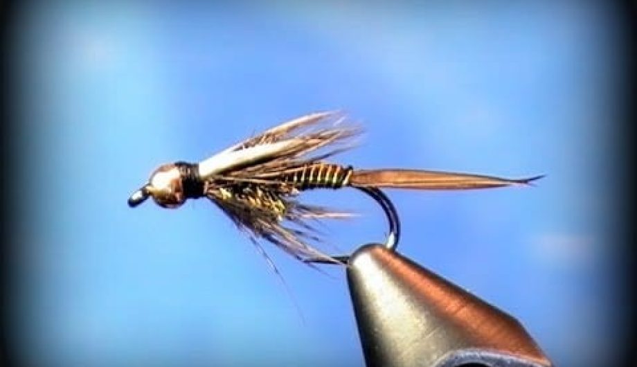 [Video] Improved Hares Ear Fly Tying Video