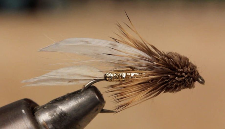 [Video] George Daniels Cat Nymph | DIY Fly Fishing