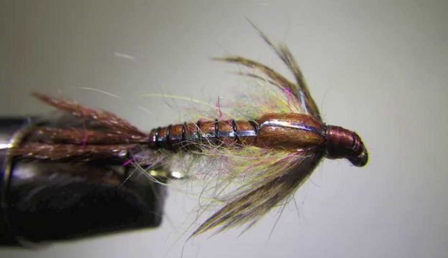 Epeorus Improved Sparkle Dun by Craig Mathews • Fly Fishing Reporter
