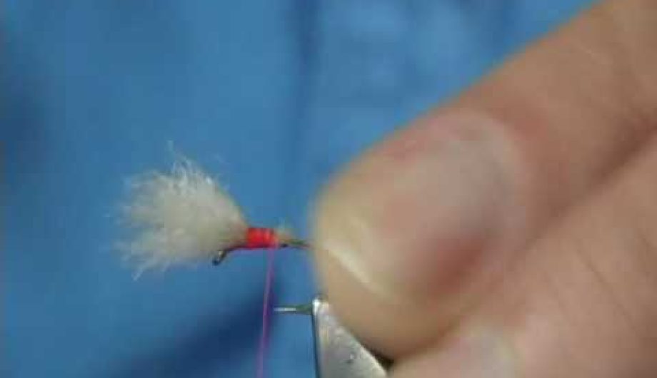 [Video] Tying the Goats Toe with Davie McPhail