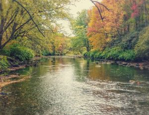 50 Best Places for Fly Fishing in Pennsylvania: Map & Guide · DIY Fly ...
