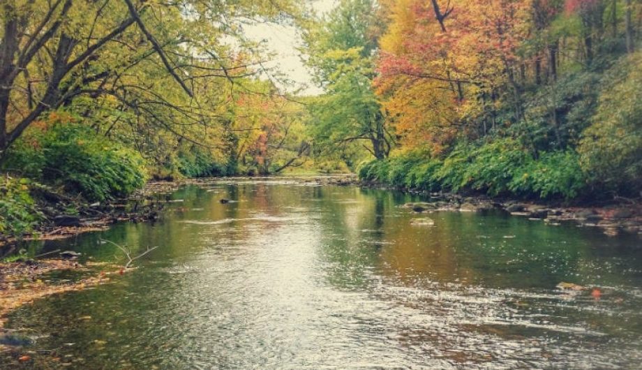 DIY Guide to Fly Fishing Penns Creek in North-Central Pennsylvania ...