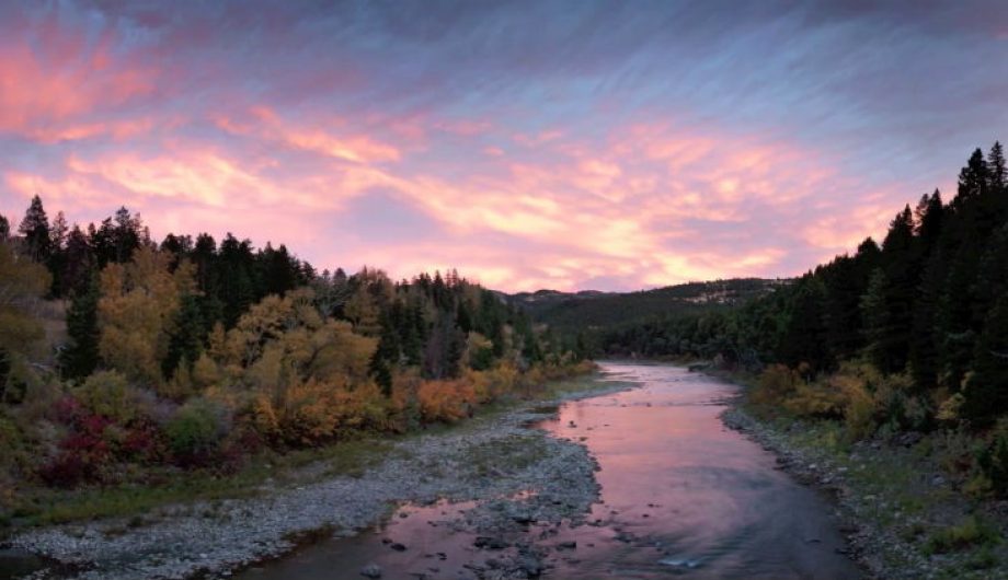 DIY Guide to Fly Fishing the Beaverhead River in Montana | DIY Fly Fishing