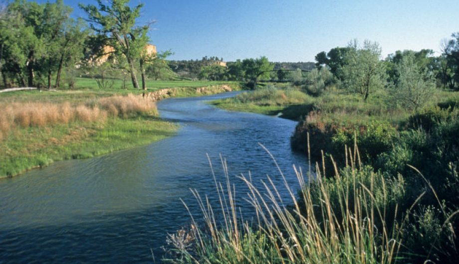 DIY Guide to Fly Fishing the Beaverhead River in Montana | DIY Fly Fishing