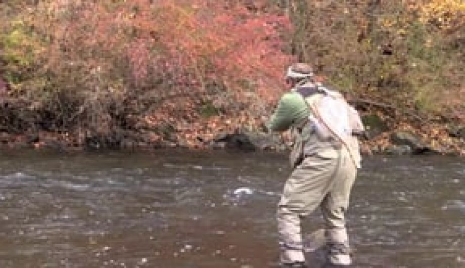 How to Roll Cast Video