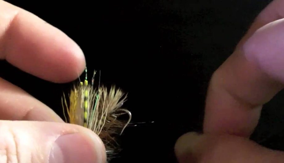 How to Roll Cast Video