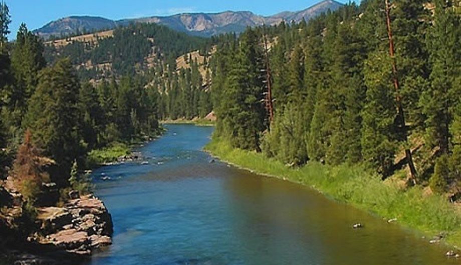 DIY Guide to Fly Fishing the Beaverhead River in Montana | DIY Fly Fishing