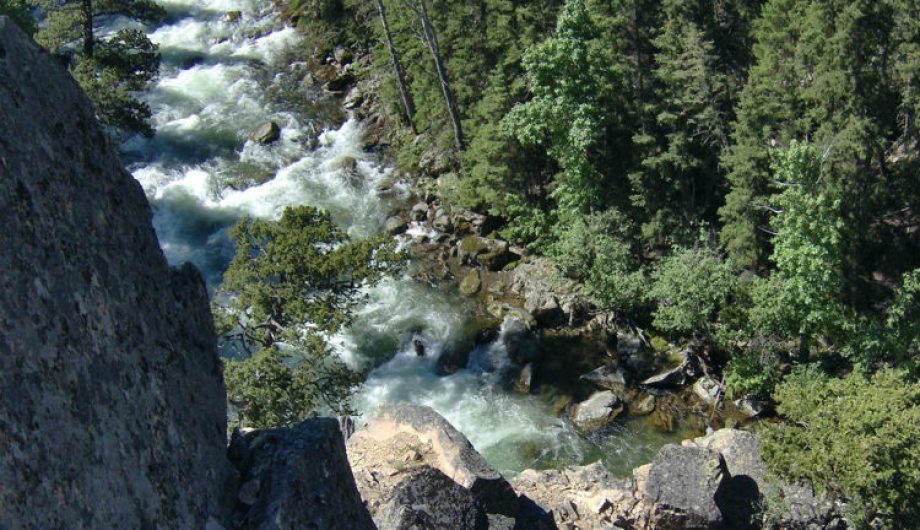 DIY Guide to Fly Fishing the Beaverhead River in Montana | DIY Fly Fishing