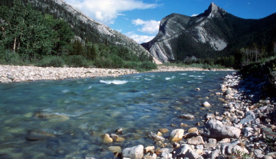 DIY Guide to Fly Fishing the Bighorn River in Montana | DIY Fly Fishing