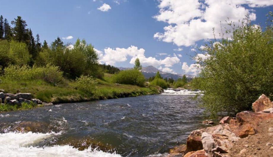 DIY Guide to Fly Fishing the Arkansas River in Colorado | DIY Fly Fishing