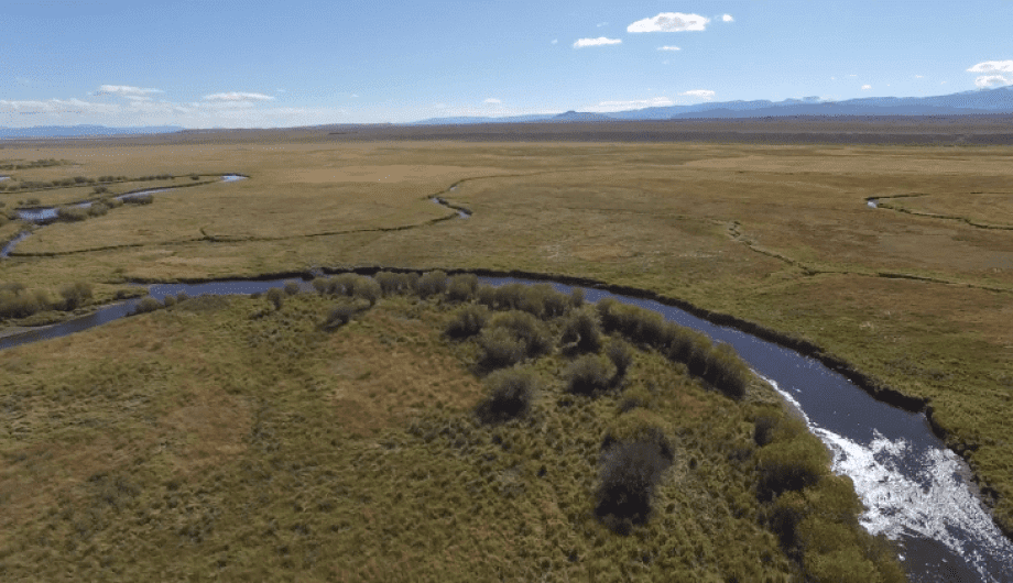 DIY Guide to Fly Fishing the Frying Pan River in Colorado | DIY Fly Fishing