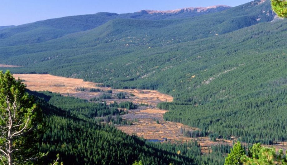 [DIY] Guide to Fly Fishing the Cache La Poudre River in Colorado