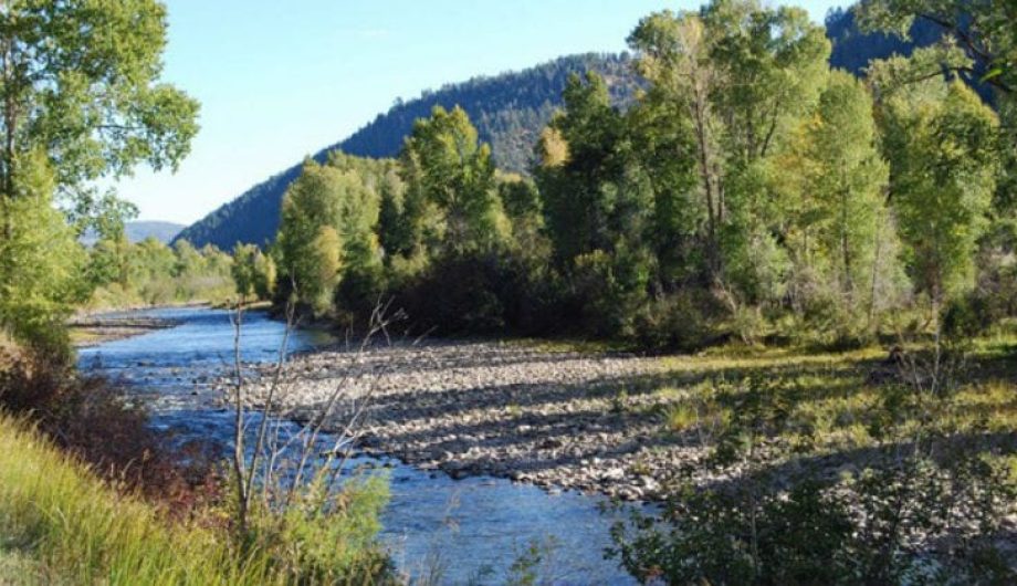 DIY Guide to Fly Fishing the Frying Pan River in Colorado | DIY Fly Fishing