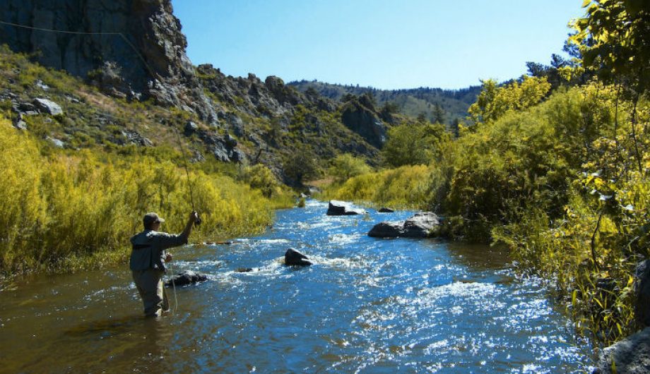 DIY Guide to Fly Fishing the Frying Pan River in Colorado | DIY Fly Fishing