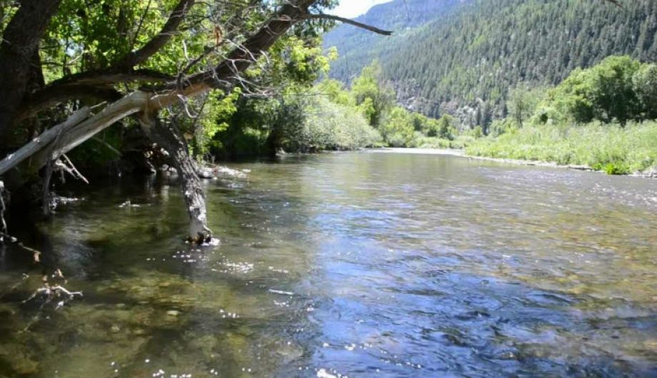 DIY Guide to Fly Fishing the Frying Pan River in Colorado | DIY Fly Fishing