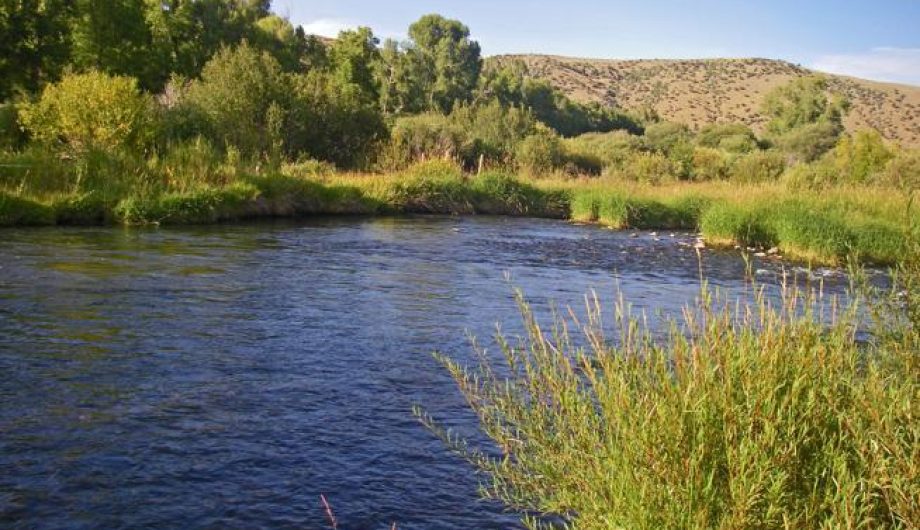 DIY Guide to Fly Fishing the Frying Pan River in Colorado | DIY Fly Fishing