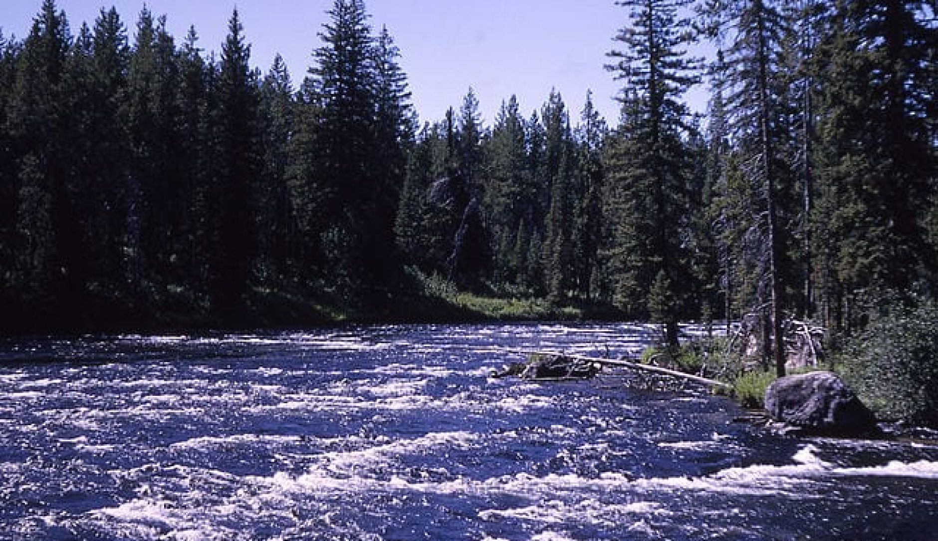 DIY Guide to Fly Fishing Bechler River in Yellowstone National Park ...